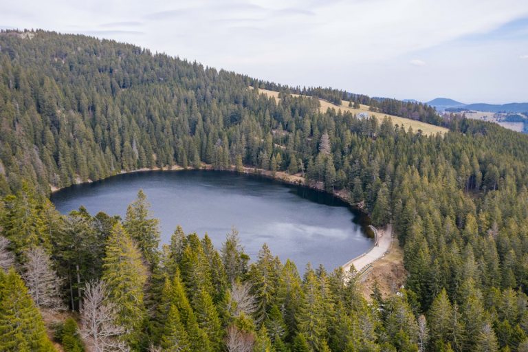 8 lacs à voir dans les Vosges et randonnées aux alentours