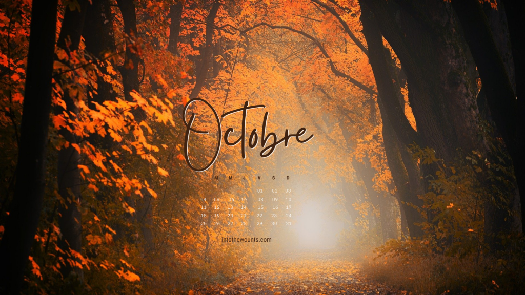 Fonds d'écran Octobre 2021 - Into The Wounts
