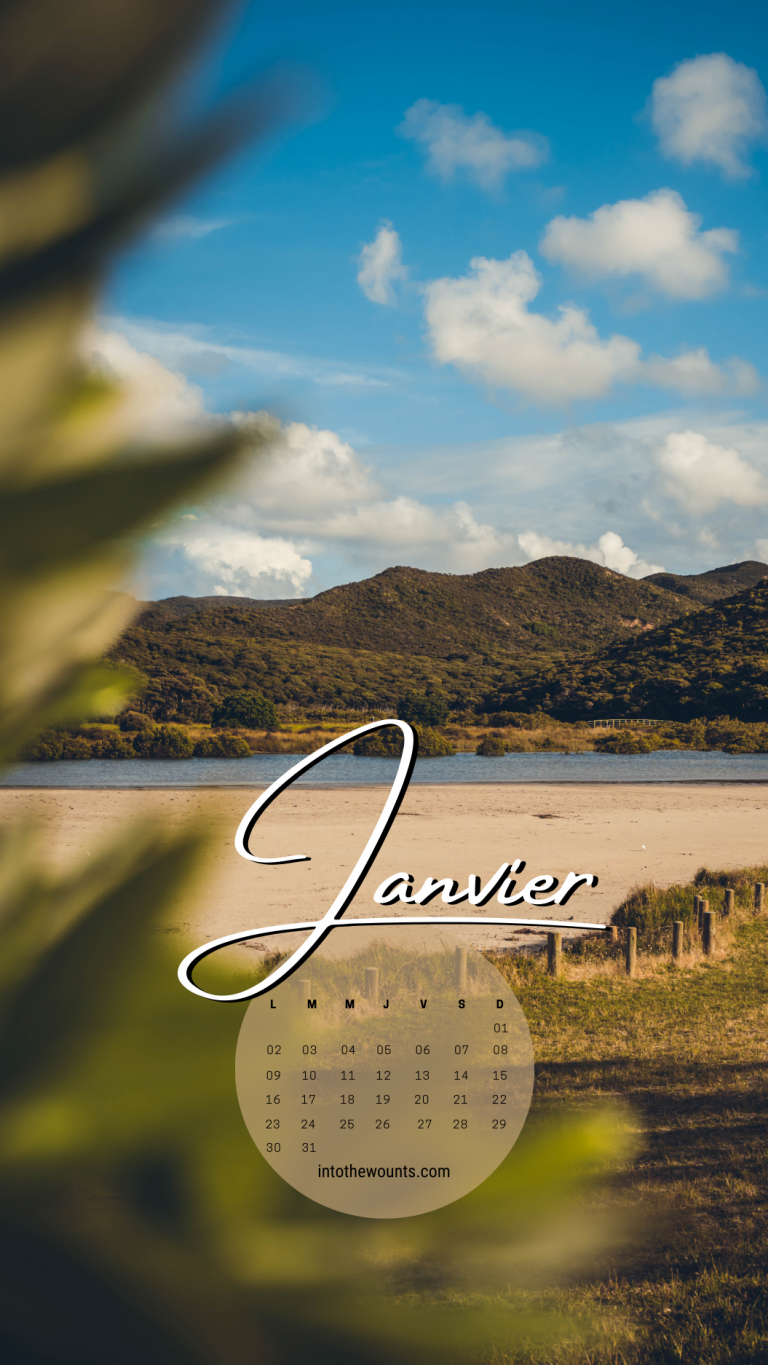 Fonds d'écran janvier 2023 - Into The Wounts