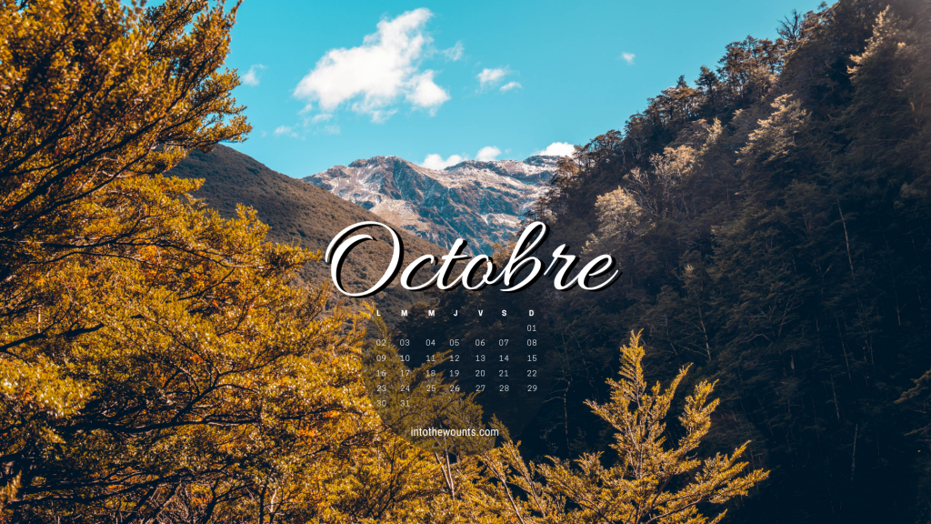 Fonds d'écran octobre 2023 - Into The Wounts