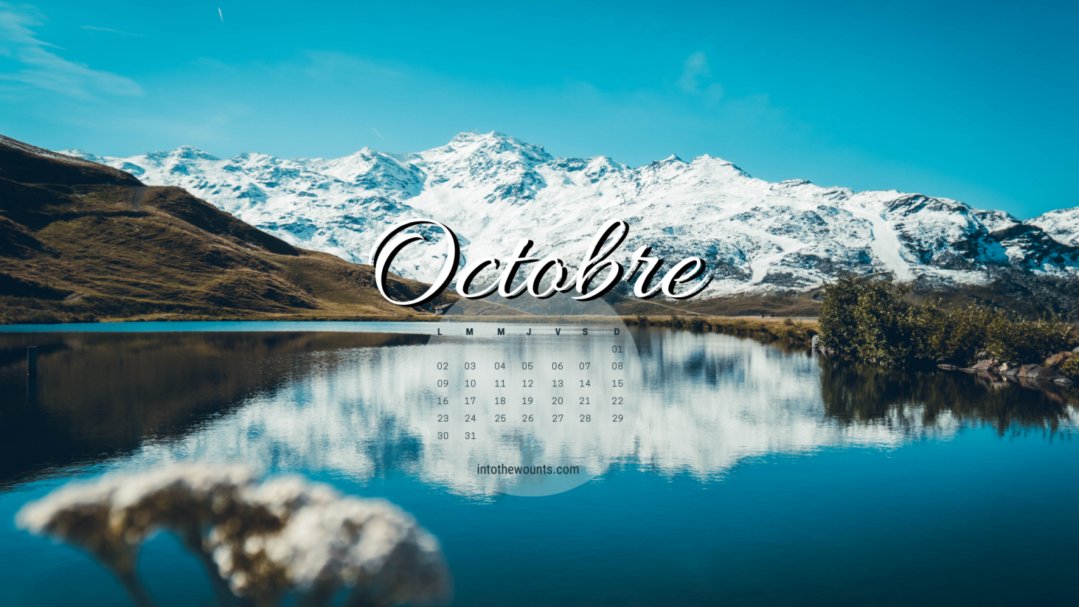 Fonds d'écran octobre 2023 - Into The Wounts