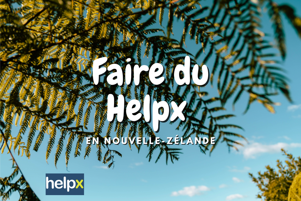Faire du Helpx en Nouvelle-Zélande [GUIDE COMPLET]