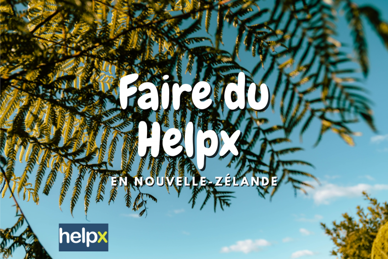 Faire du Helpx en Nouvelle-Zélande [GUIDE COMPLET]