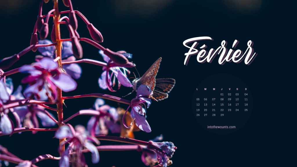 Fonds d'écran février 2024 - Into The Wounts