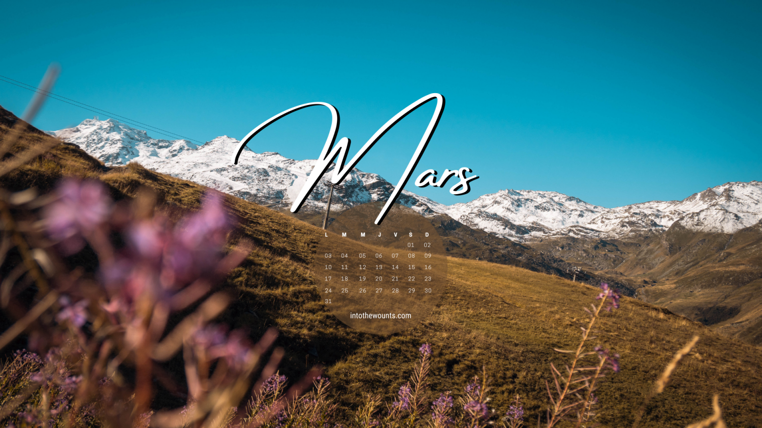 Fonds d'écran mars 2025 - Into The Wounts