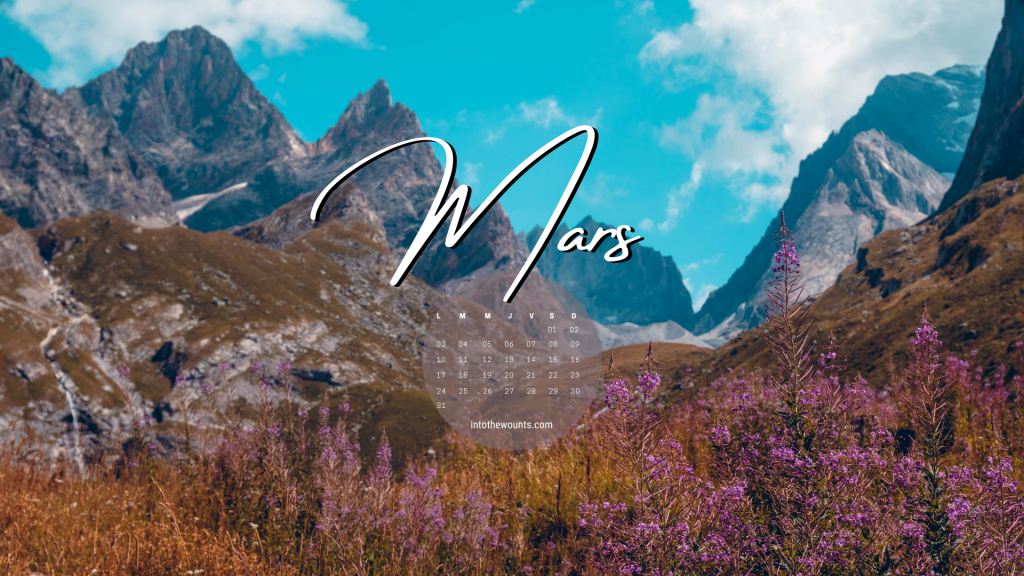 Fonds d'écran mars 2025 - Into The Wounts