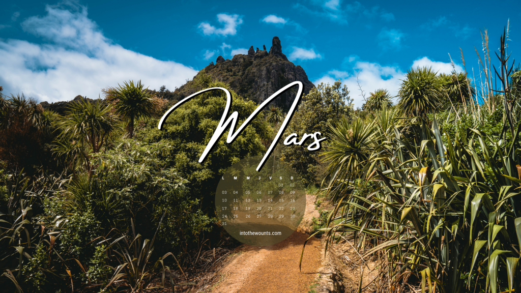 Fonds d'écran mars 2025 - Into The Wounts