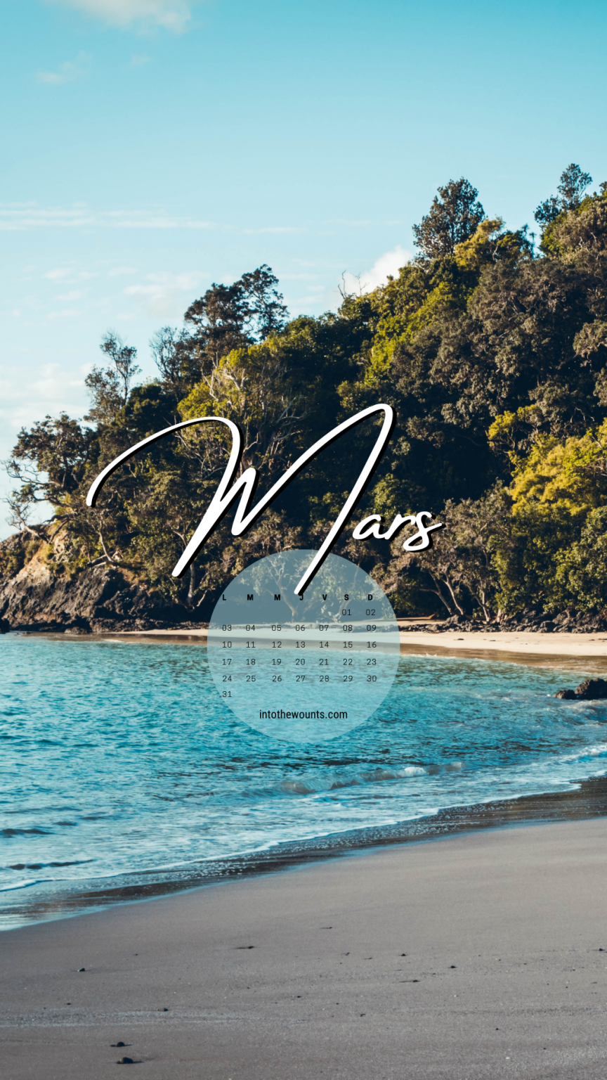 Fonds d'écran mars 2025 - Into The Wounts